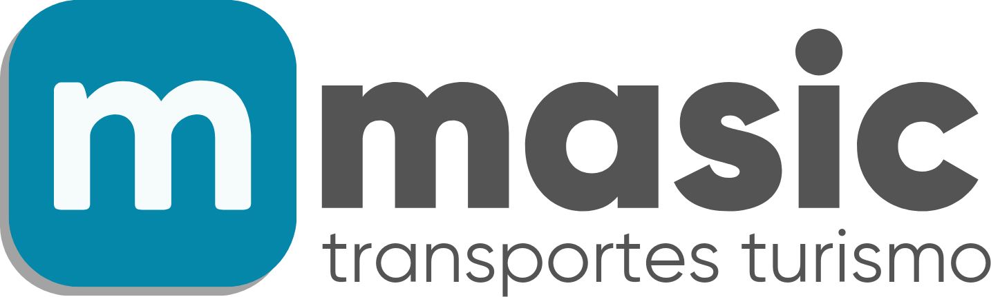 Sistema Control Interno - Transportes Masic